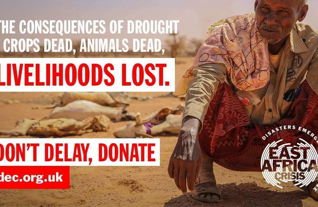 East Africa crisis: What can you do to help? - Verdict