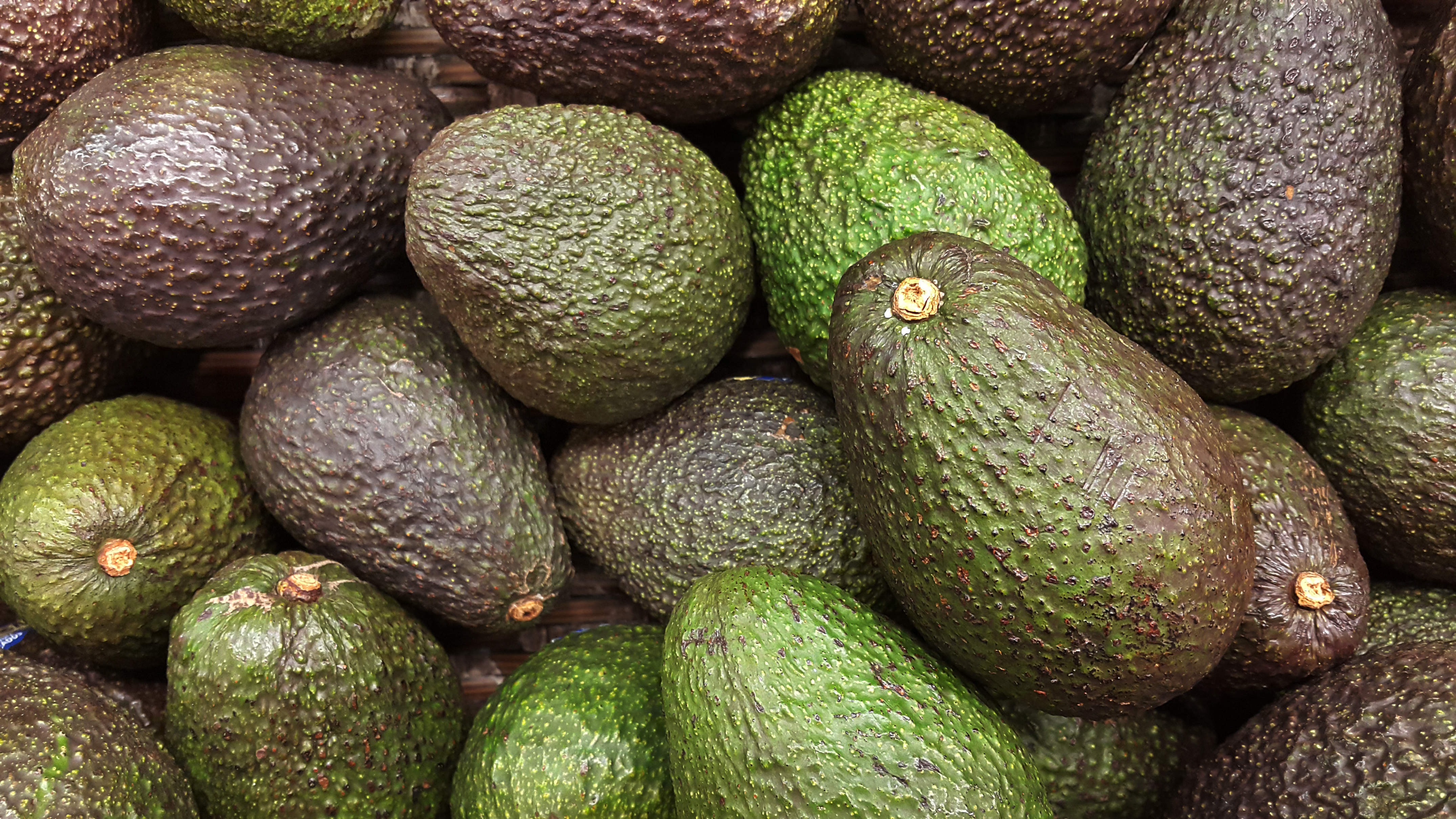 The avocado boom reaches China, as imports of the fruit soar - Verdict