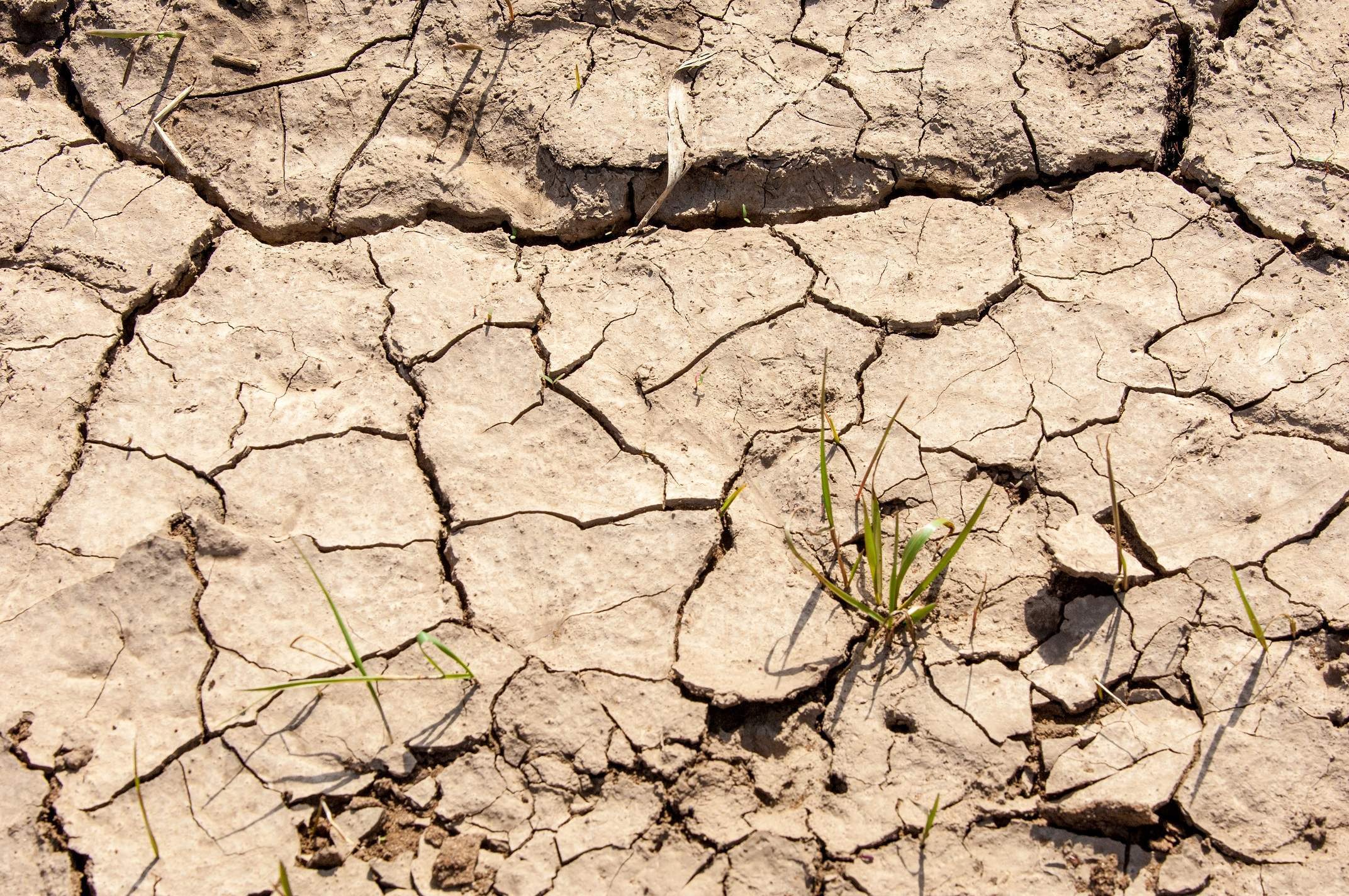 Cape Town water crisis: how will it affect the city's tourism? - Verdict Cape Town water crisis: how will it affect the city's tourism? - Verdict