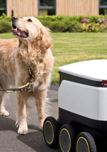 When guide dogs and delivery robots meet - Verdict