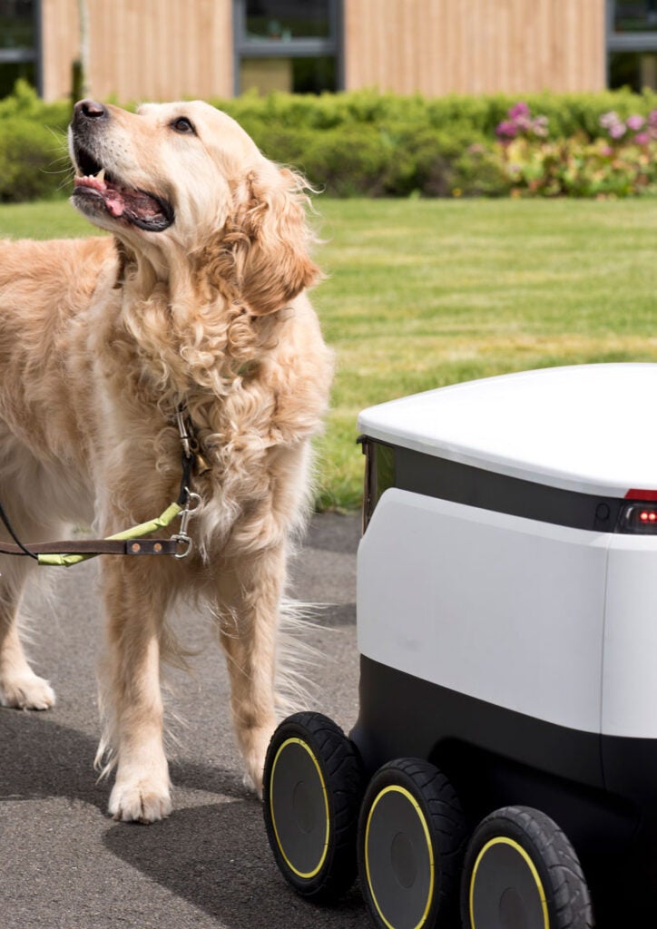 When guide dogs and delivery robots meet - Verdict