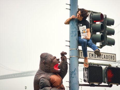 Cricket protein crisps: Changing food culture, one bug bear at a time