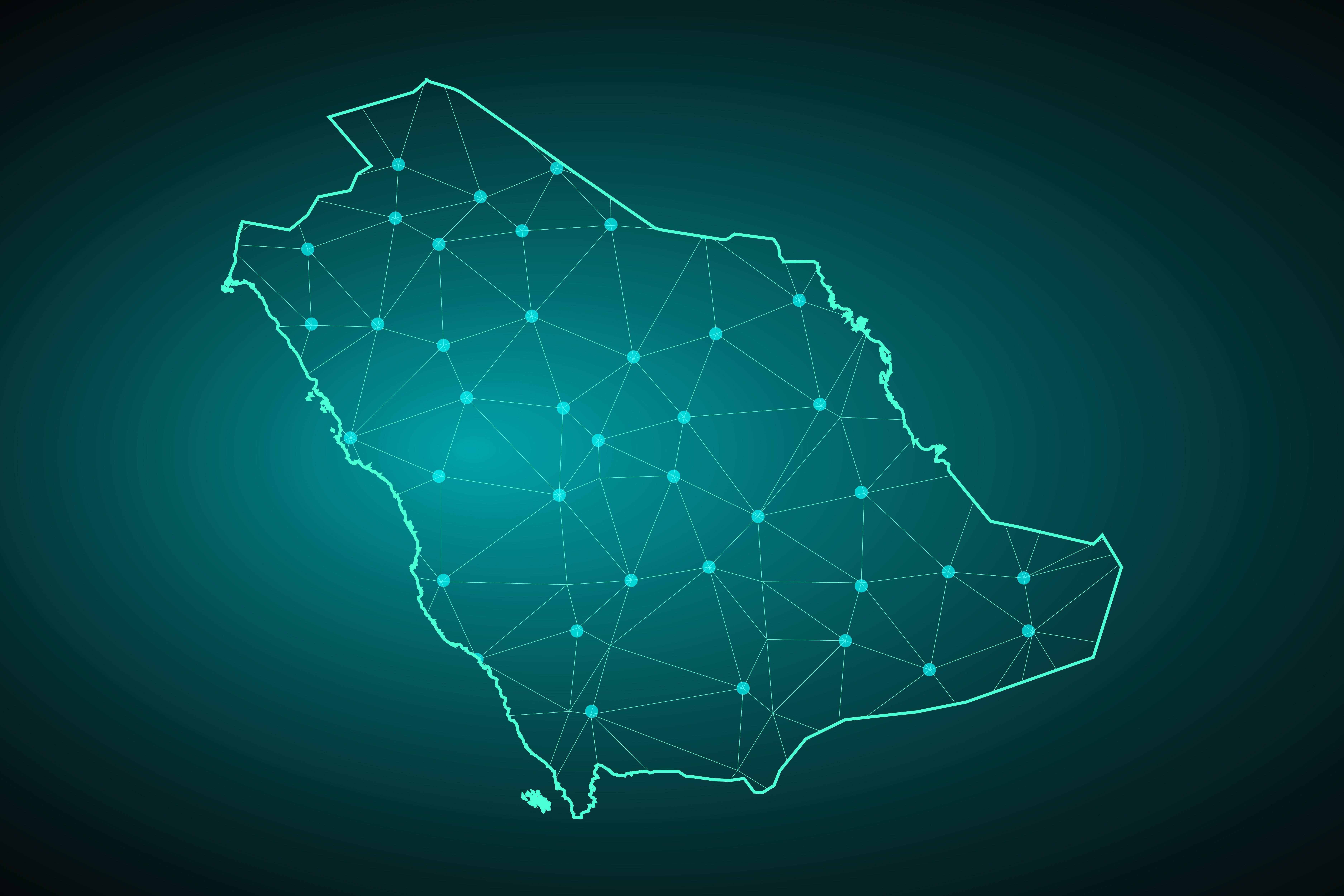 SAMA issues new guidelines for digital only banks - Verdict