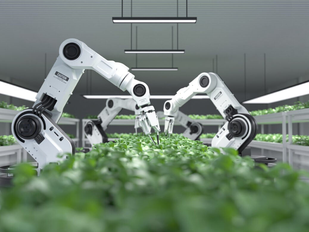 Vertical farming will lead a new agritech revolution - Verdict